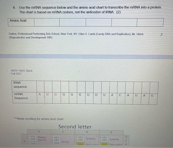 6. Use the mRNA sequence below and the amino acid | Chegg.com