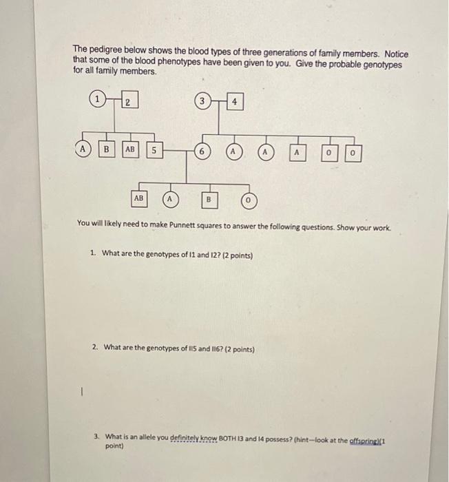 Solved The pedigree below shows the blood types of three | Chegg.com