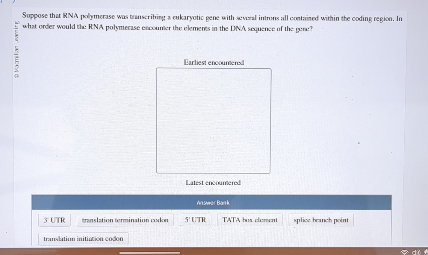 Solved Suppose that RNA polymerase was transcribing a | Chegg.com