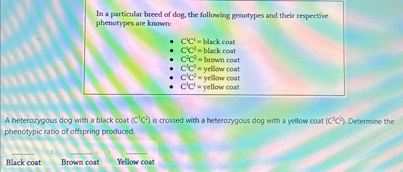 Solved In a particular breed of dog, the following genotypes | Chegg.com
