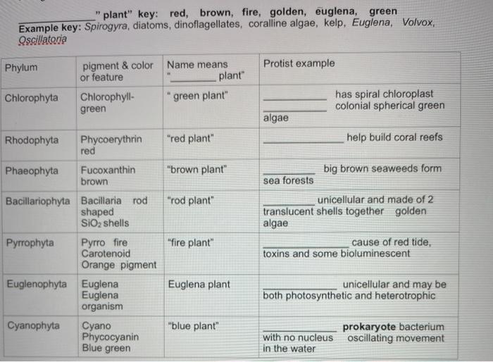 Solved Compare and contrast traditional and modern protist | Chegg.com