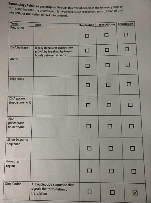 Solved Terminology Table: As you progress through this | Chegg.com