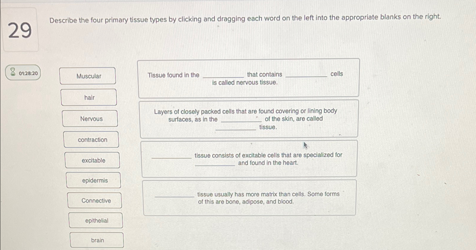 Solved 29Describe the four primary tissue types by clicking | Chegg.com