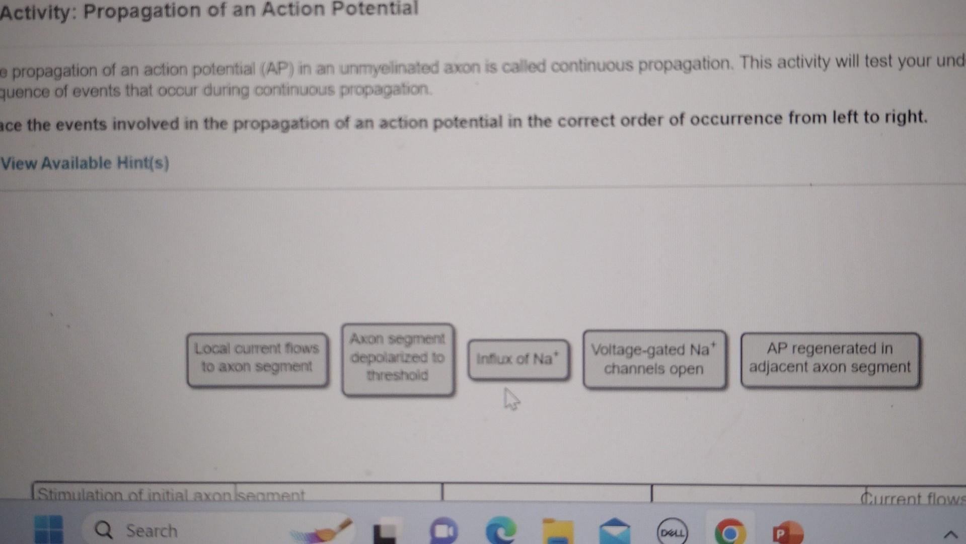 Solved ropagation of an action potential (AP) in an | Chegg.com