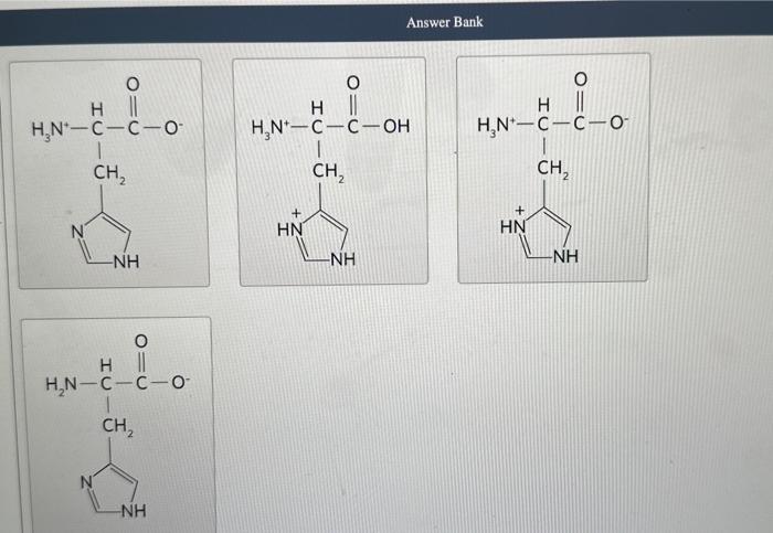 Each ionizable group of an amino acid can exist in | Chegg.com