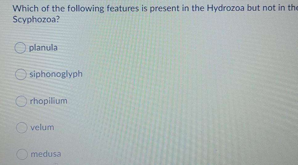 Solved Which of the following features is present in the | Chegg.com