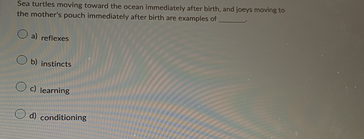 Solved Sea turtles moving toward the ocean immediately after | Chegg.com