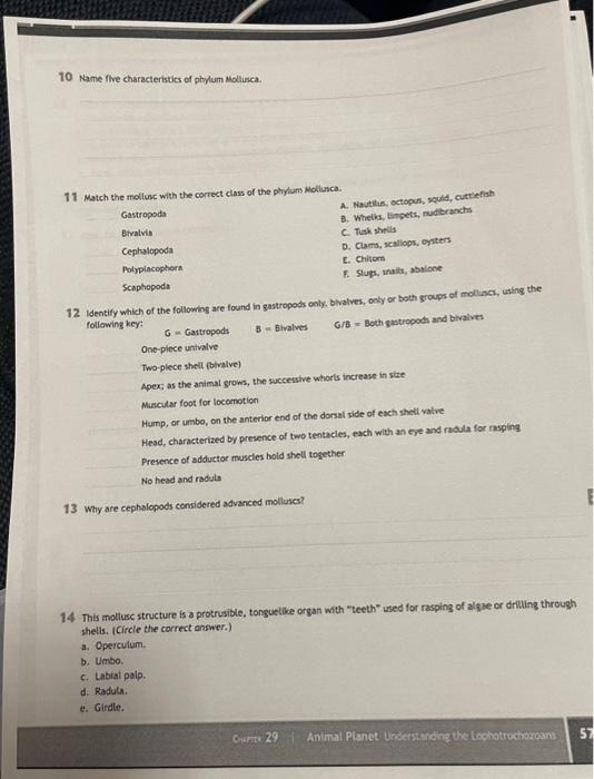 Solved 10 Name five characteristics of phylum Mollusca. 11 | Chegg.com