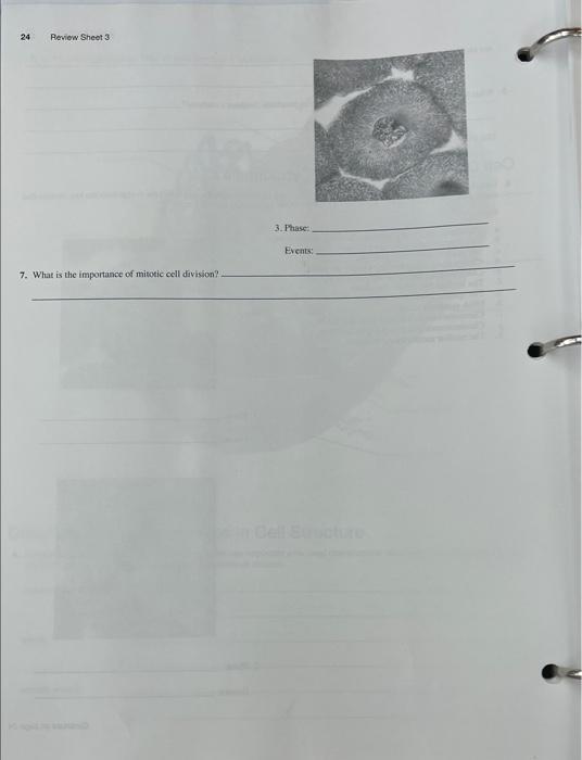 Solved Observing Differences and Similarities in Cell | Chegg.com