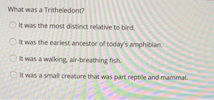 Solved What was a Tritheledont? It was the most distinct | Chegg.com