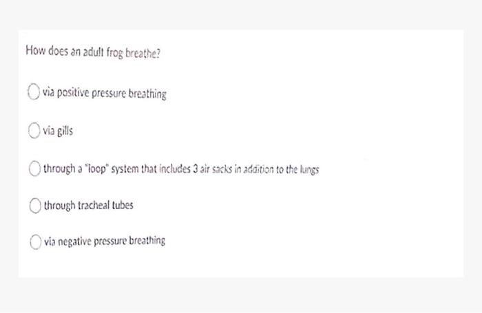 Solved How does an adult frog breathe? via positive pressure | Chegg.com
