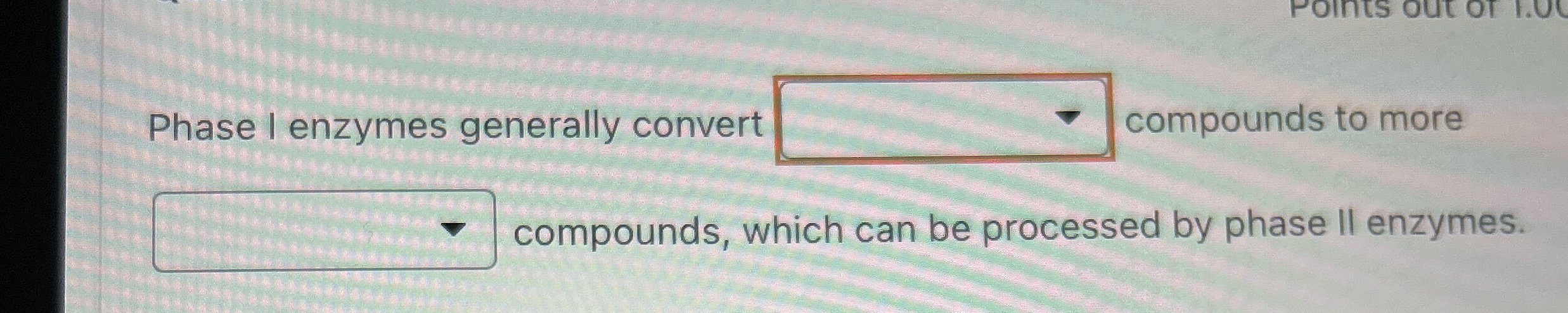 Solved Phase I enzymes generally convert ﻿compounds to | Chegg.com