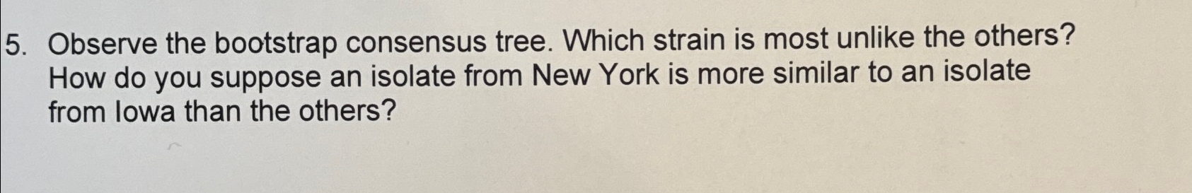 Solved Observe the bootstrap consensus tree. Which strain is | Chegg.com