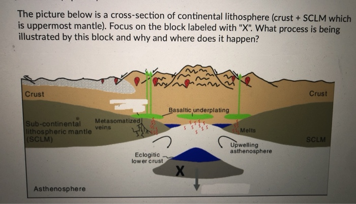Solved The picture below is a cross-section of continental | Chegg.com