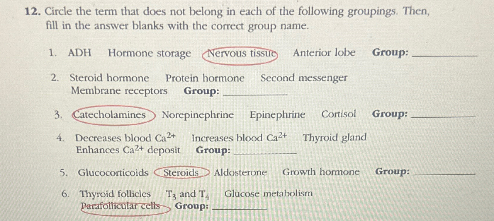 Solved Circle the term that does not belong in each of the | Chegg.com