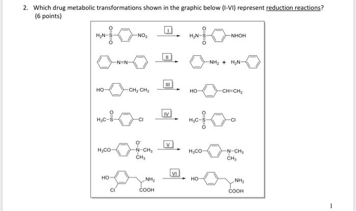 2. Which drug metabolic transformations shown in the | Chegg.com