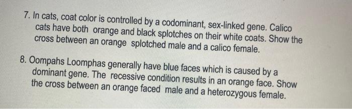 Solved 7. In cats, coat color is controlled by a codominant, | Chegg.com