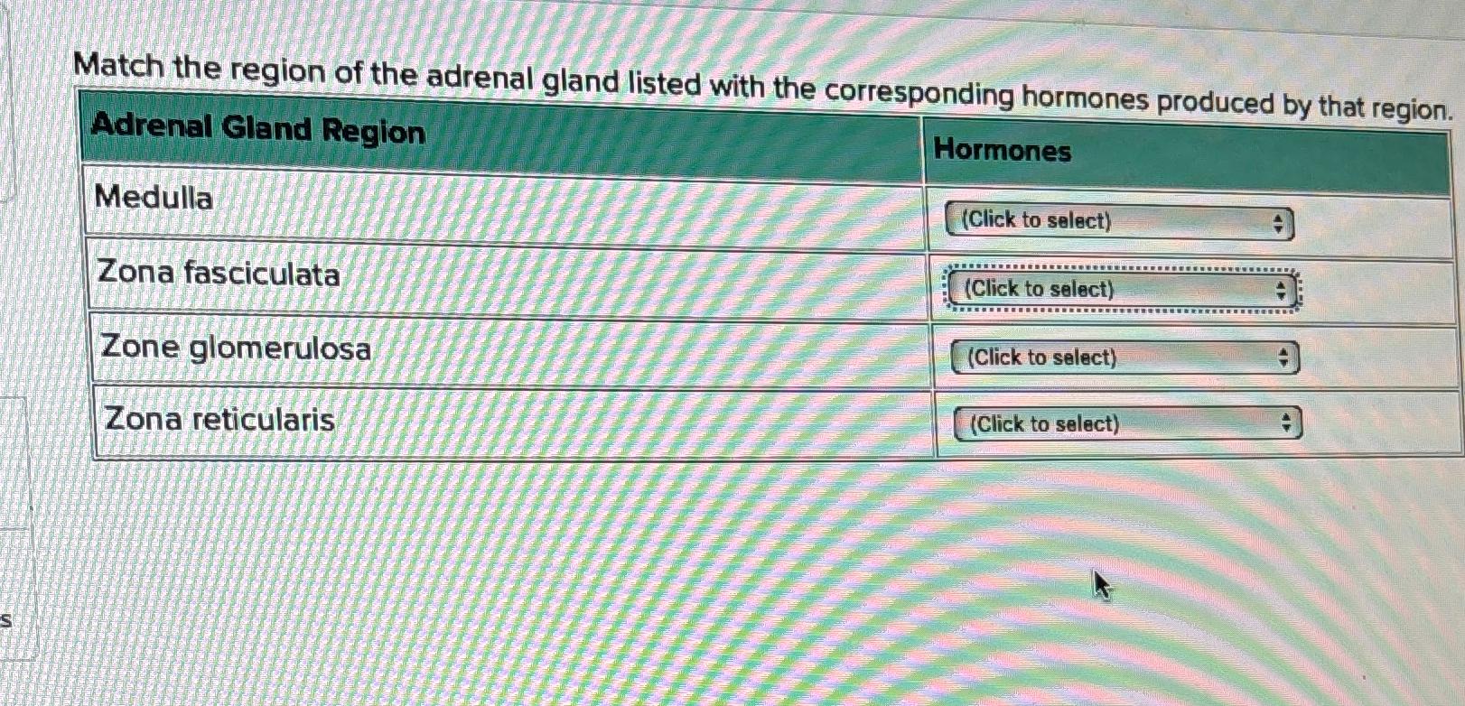 Solved Match the region of the adrenal gland listed with the | Chegg.com