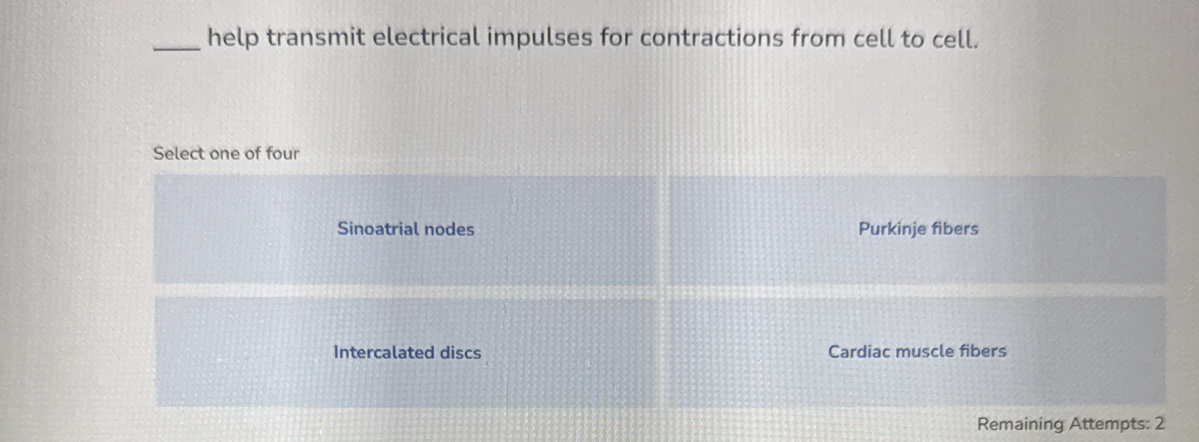 Solved help transmit electrical impulses for contractions | Chegg.com
