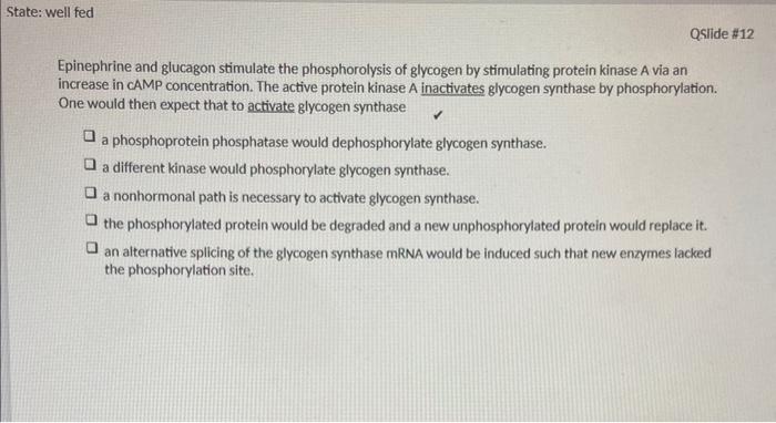 Solved In the well fed state, the pancreas secretes insulin. | Chegg.com