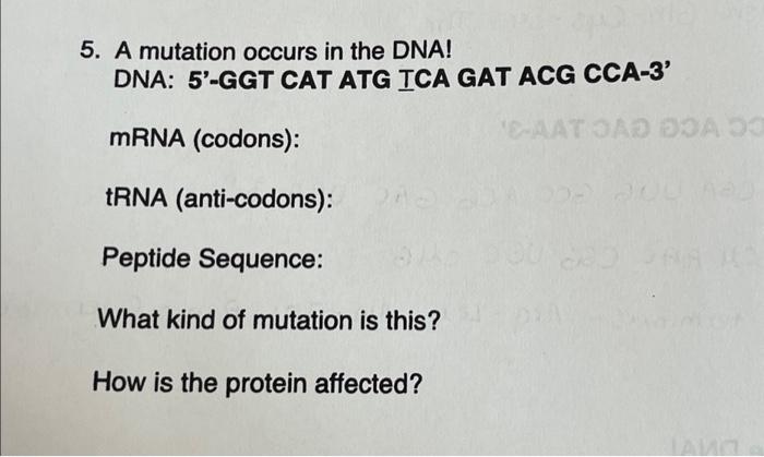 Solved 5. A mutation occurs in the DNA! DNA: 5'-GGT CAT ATG | Chegg.com