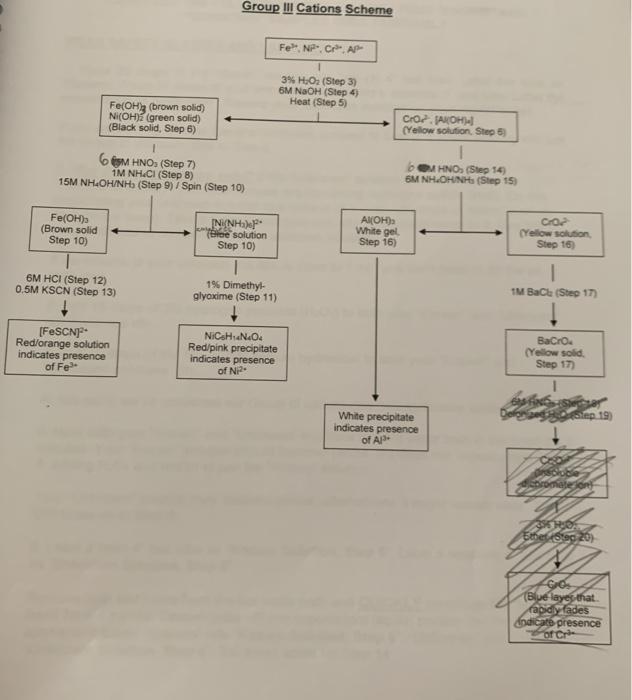 Solved Group III Cations Scheme Fel. NPCAP 3% H.Oz (Step 3) | Chegg.com