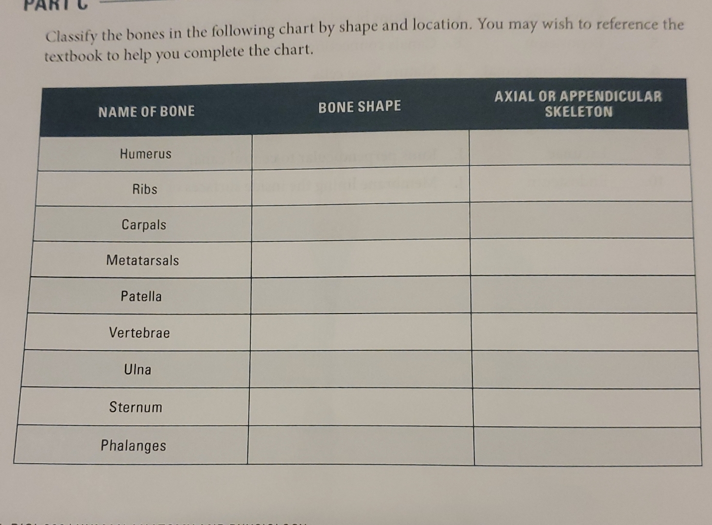 Solved Classify The Bones In The Following Chart By Shape