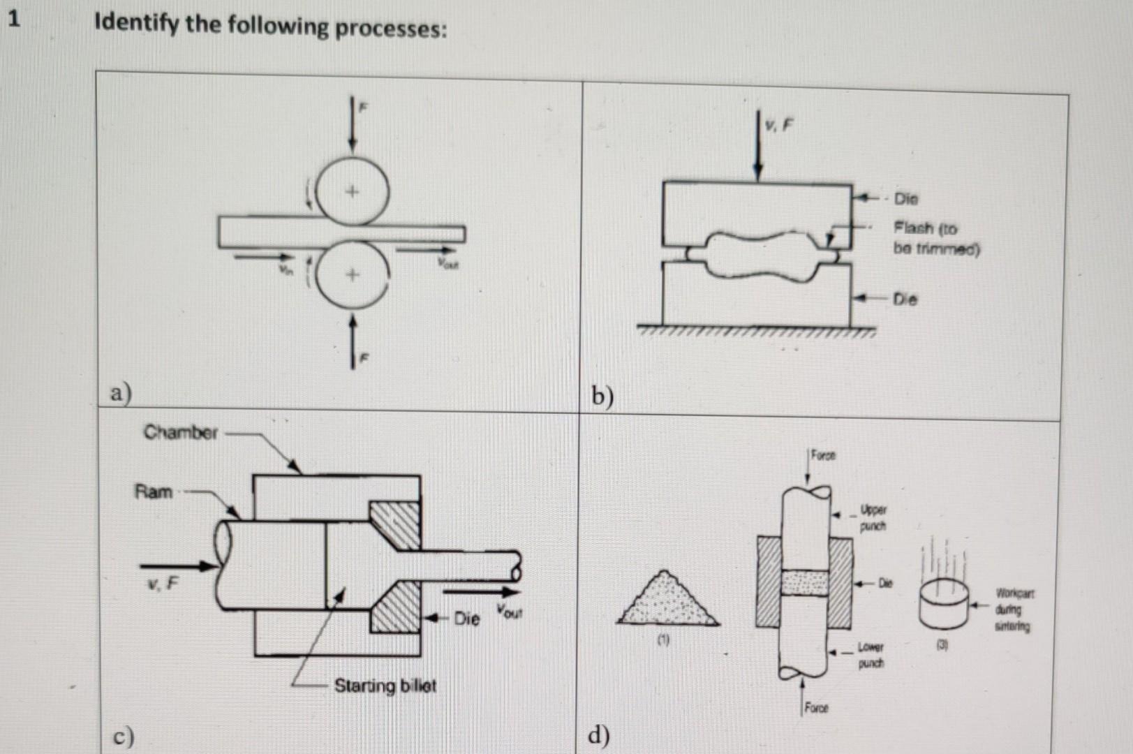 Solved Identify the following processes: | Chegg.com