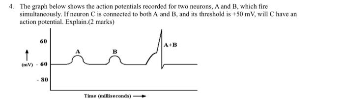 Solved 4. The graph below shows the action potentials | Chegg.com