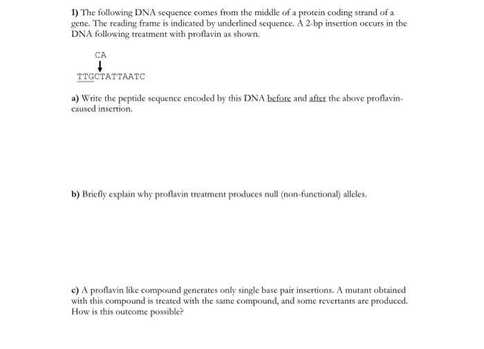 Solved 1) The following DNA sequence comes from the middle | Chegg.com