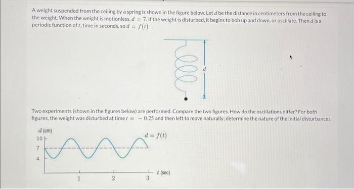 A weight suspended from the ceiling by a spring is | Chegg.com