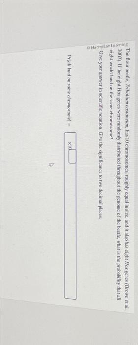 Solved Imagine that a long stretch of single-stranded DNA | Chegg.com