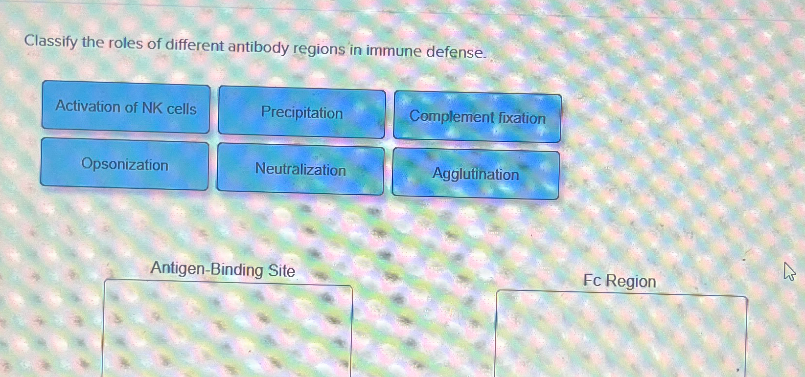 Solved Classify the roles of different antibody regions in | Chegg.com