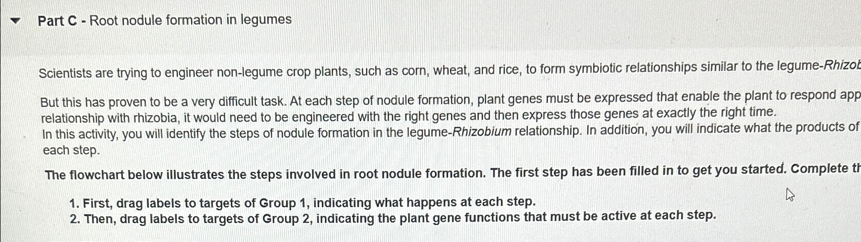 Solved Part C - ﻿Root nodule formation in legumesScientists | Chegg.com