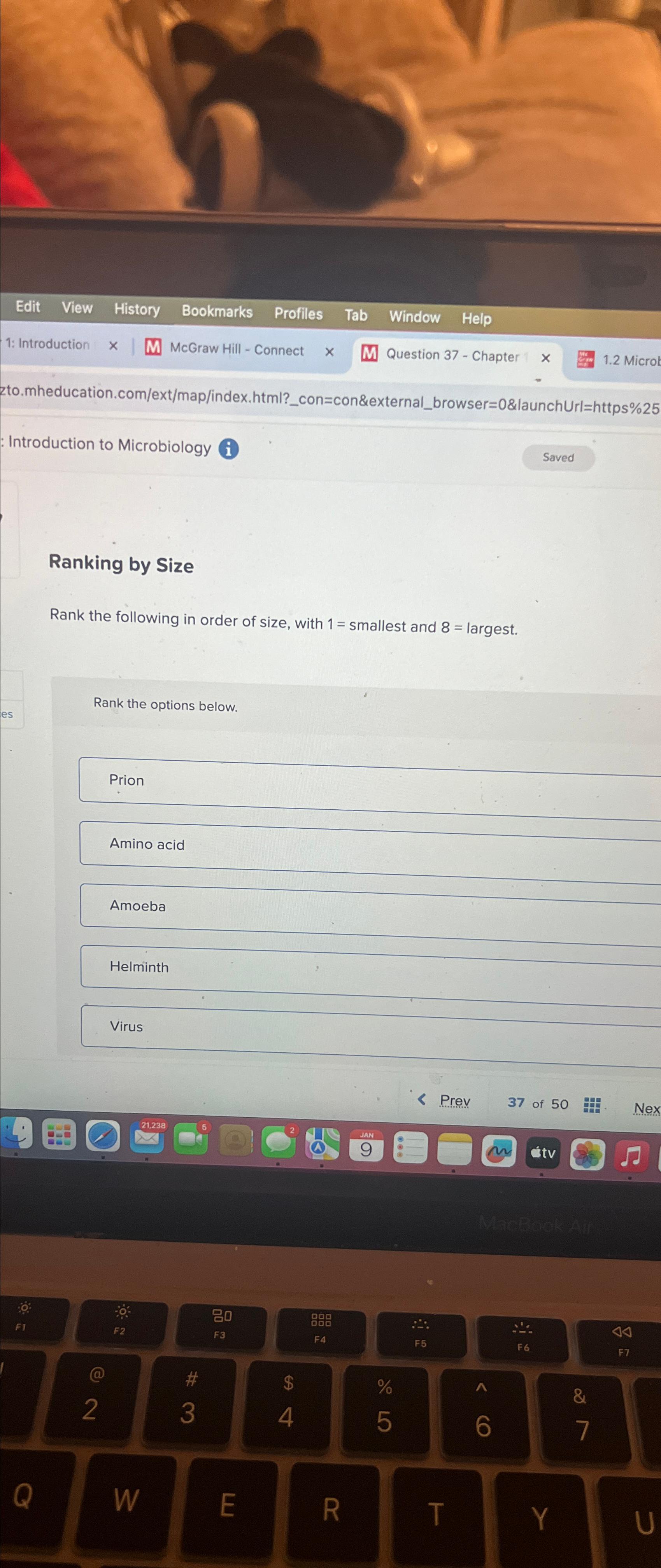 Solved Ranking by SizeRank the following in order of size, | Chegg.com