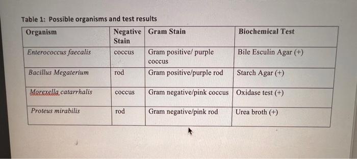 Solved create a flow chart based on the informationthe | Chegg.com