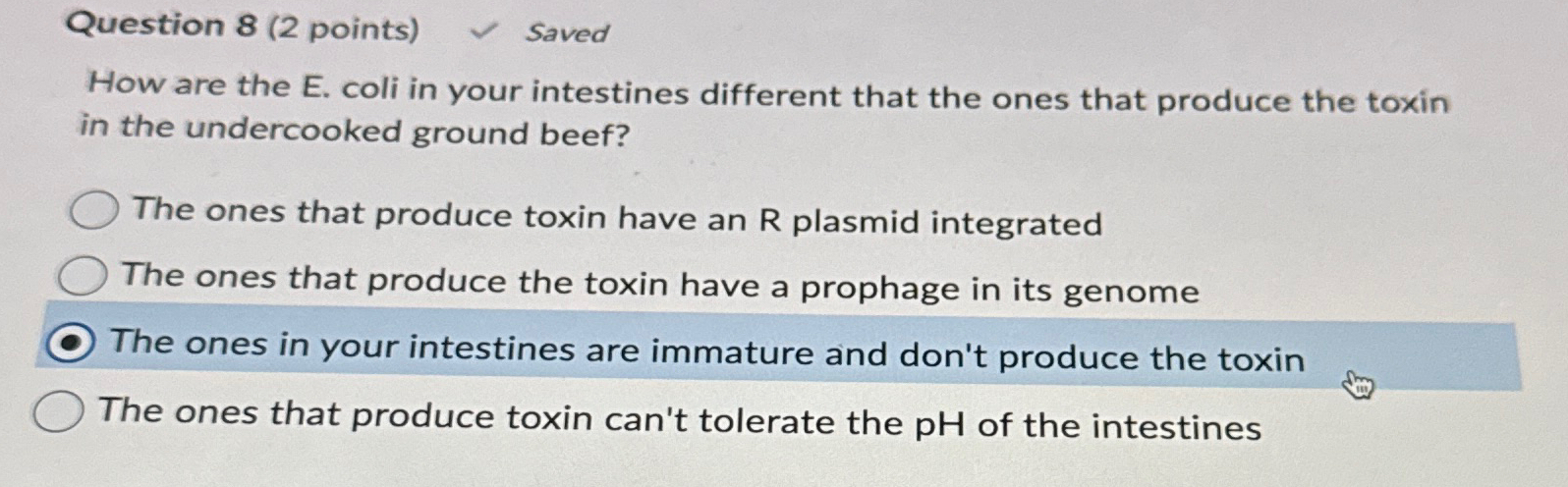 Solved Question 8 (2 ﻿points) ﻿SavedHow are the E. ﻿coli in | Chegg.com