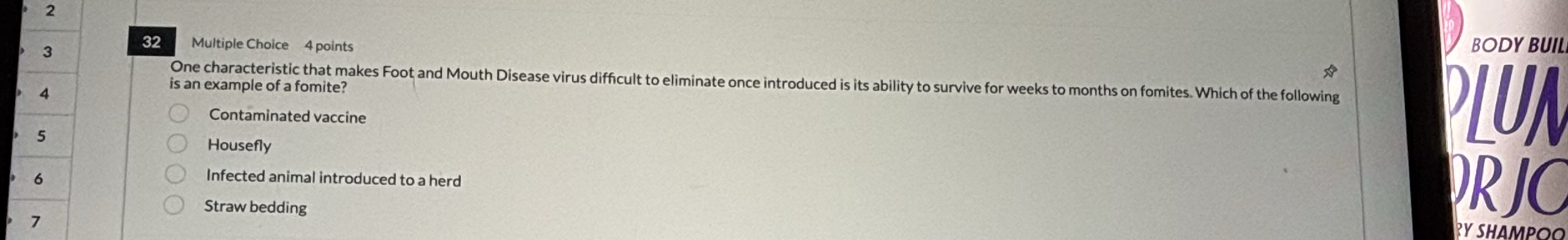 Solved 32Multiple Choice4 ﻿pointsOne characteristic that | Chegg.com
