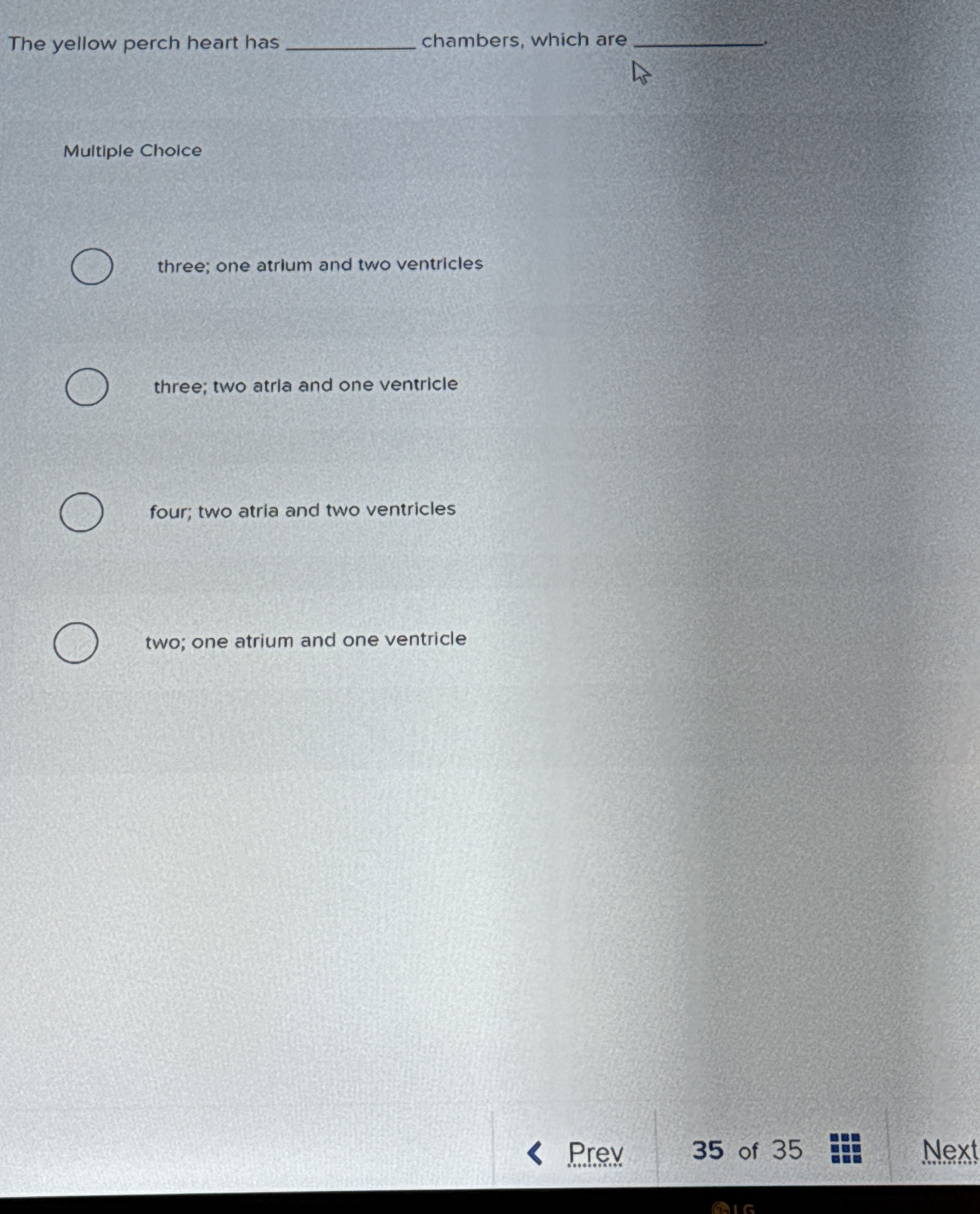 Solved The yellow perch heart has ﻿chambers, which are | Chegg.com