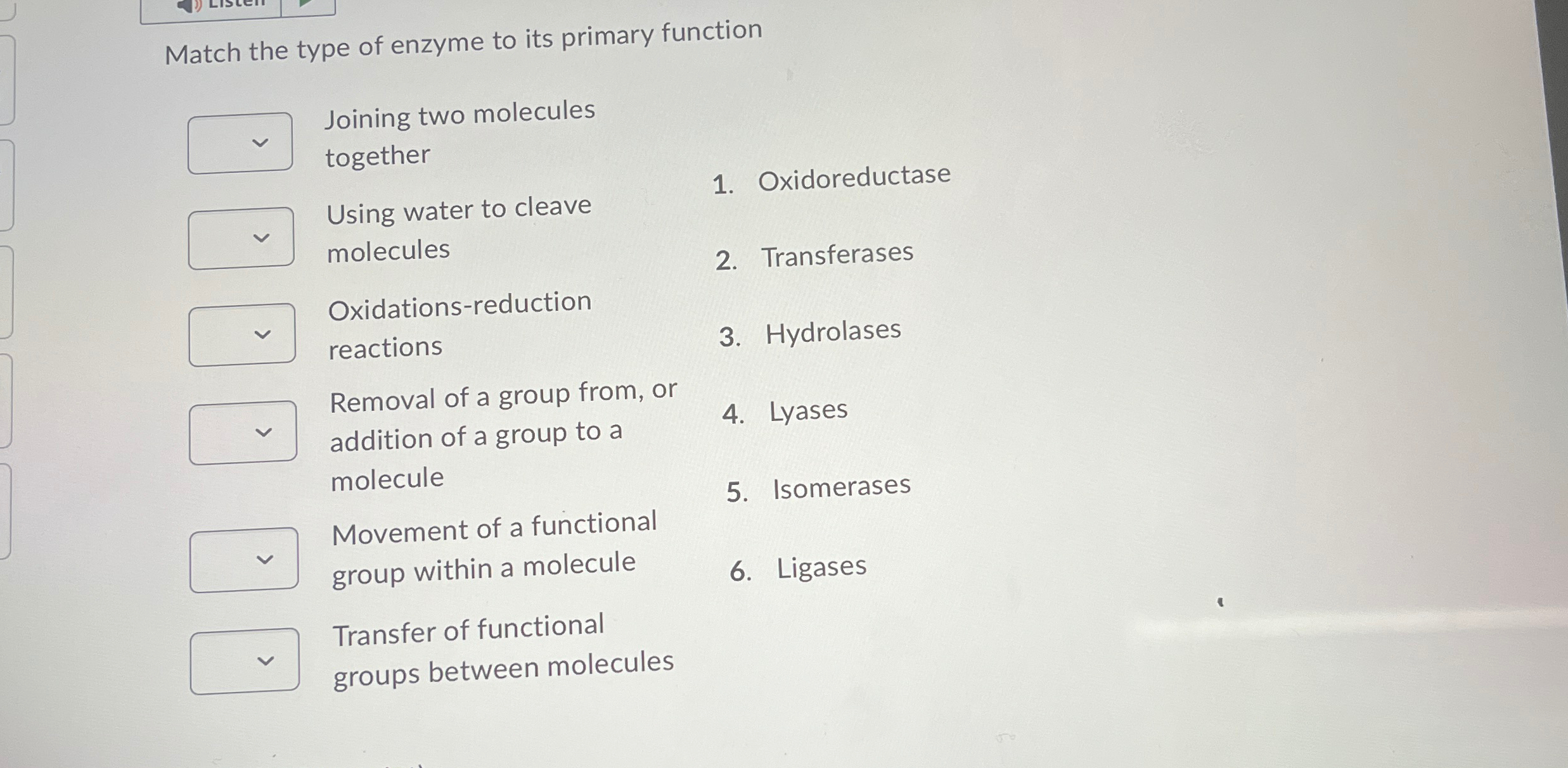 Solved Match the type of enzyme to its primary function | Chegg.com