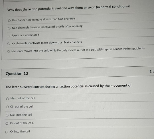 Solved Why does the action potential travel one way along an | Chegg.com