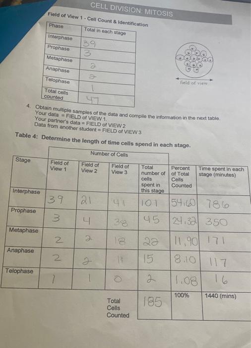 Solved CELL DIVISION: MITOSIS Calculate the "Percent of | Chegg.com