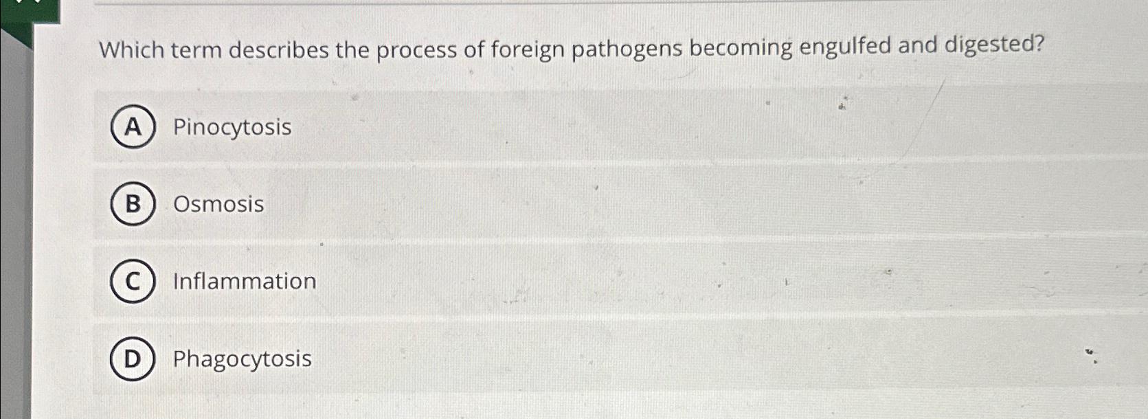 Solved Which term describes the process of foreign pathogens | Chegg.com
