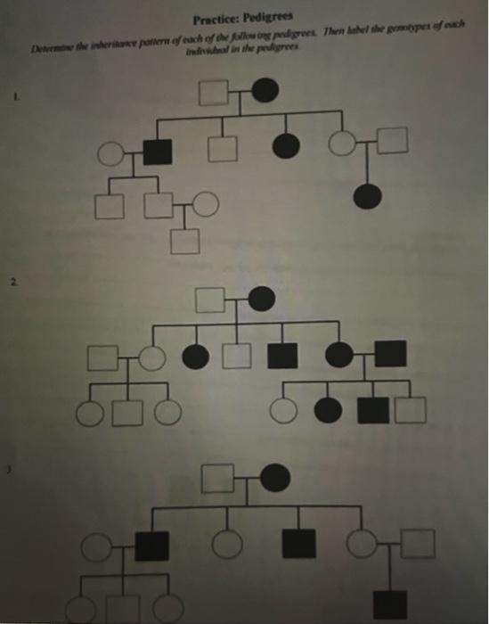 Solved hello can someone please determine the inheritance | Chegg.com