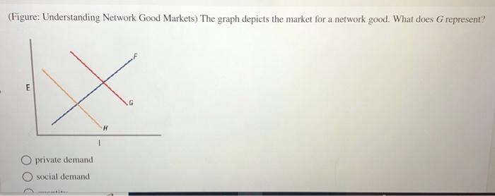 Solved (Figure: Understanding Network Good Markets) The | Chegg.com