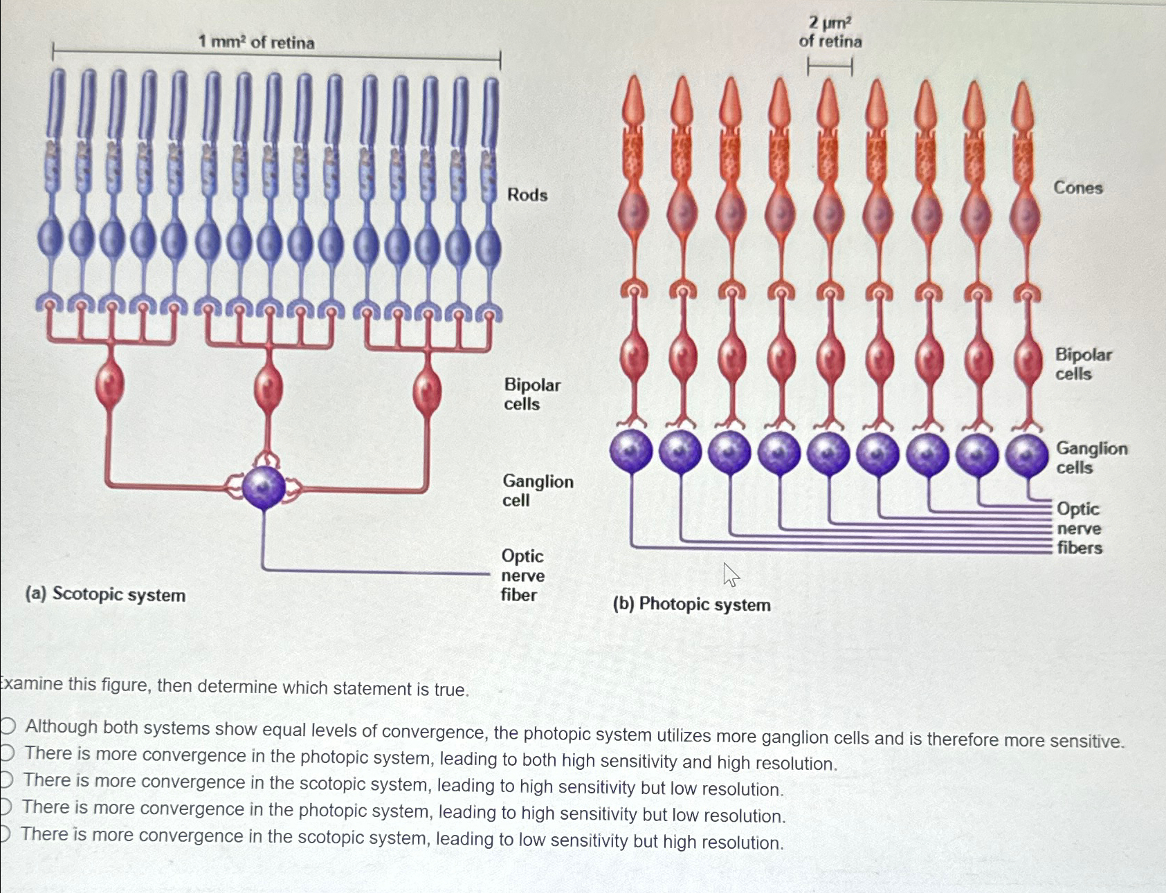 Solved Examine this figure, then determine which statement | Chegg.com
