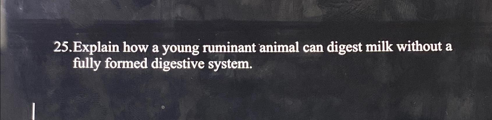 Solved Explain how a young ruminant animal can digest milk | Chegg.com