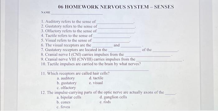 Solved 06 HOMEWORK NERVOUS SYSTEM - SENSES NAME 1. Auditory | Chegg.com