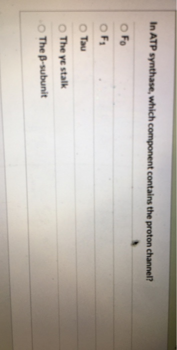 Solved In ATP synthase, which component contains the proton | Chegg.com