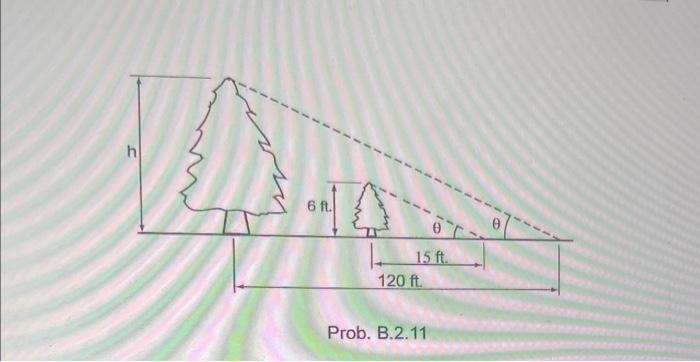 Solved Prob. B.2.11 | Chegg.com
